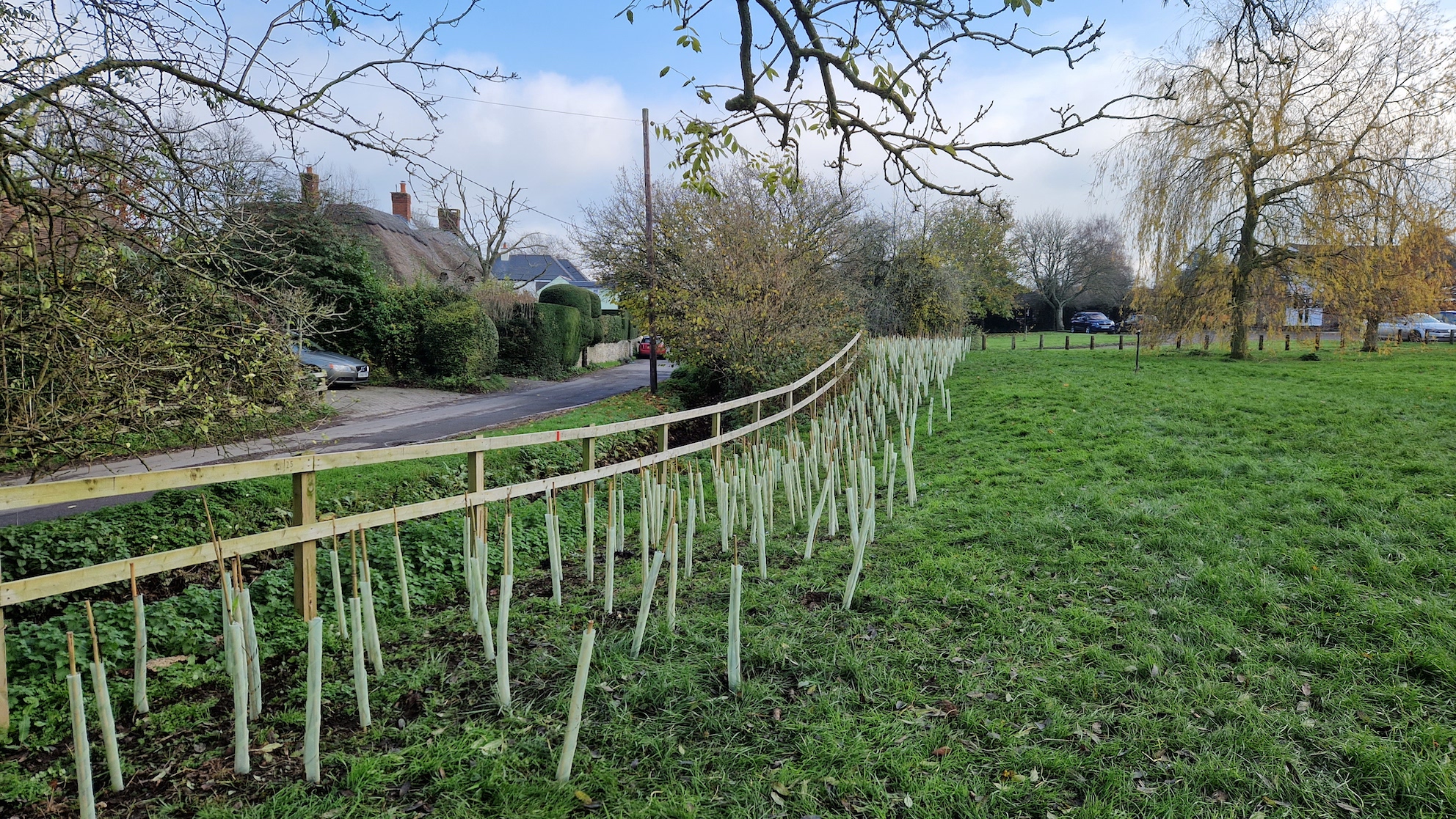 Tree Working Group (TWIG) – East Meon Nature Group